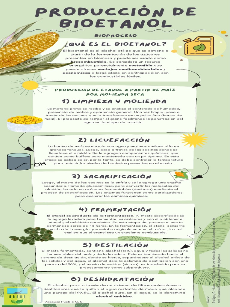 Infografía Bioproceso: Bioetanol | PDF | Combustible de etanol | Etanol