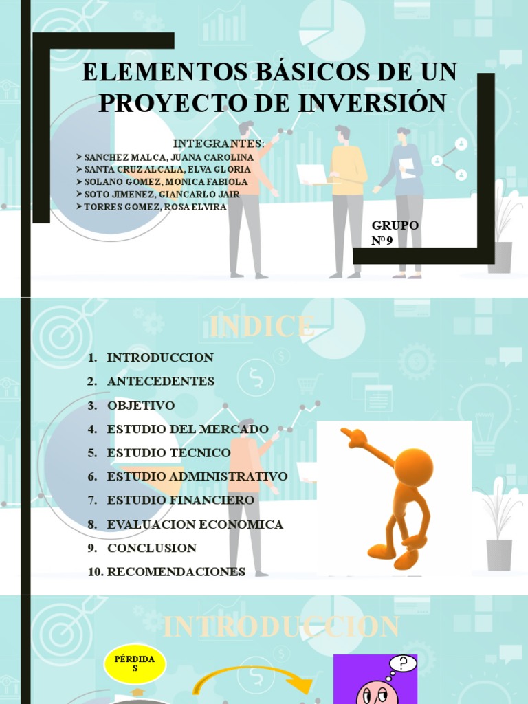 Elementos Basicos de Un Proyecto de Inversion | PDF | Presupuesto | Inversiones