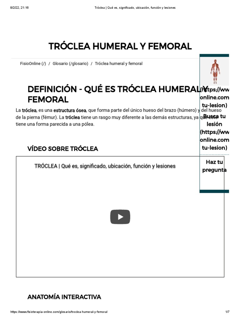 Tróclea - Qué Es, Significado, Ubicación, Función y Lesiones | PDF ...