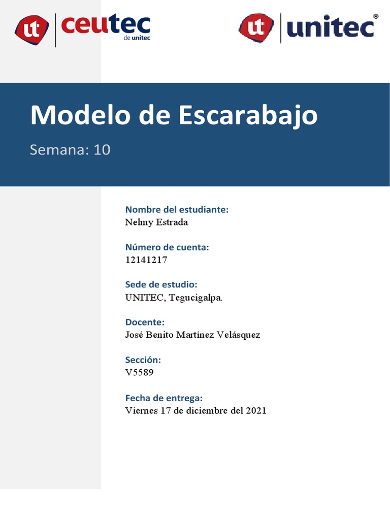 Tarea 10.1 - ModeloEscarabajo | PDF