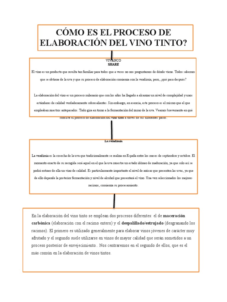 Cómo Es El Proceso de Elaboración Del Vino Tinto | PDF | Vino ...