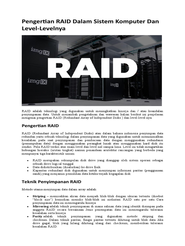 Raid | PDF