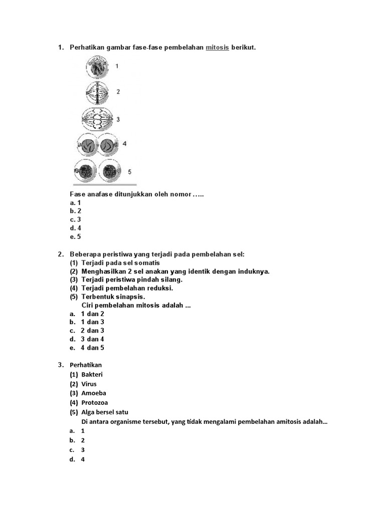 Soal Pembelahan Sel | PDF | Kajian Bahasa Asing | Sains & Matematika