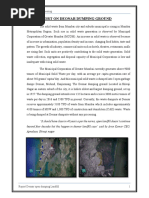 Admin Service - Duty Travel - Daily Subsistence Allowance (DSA) | PDF