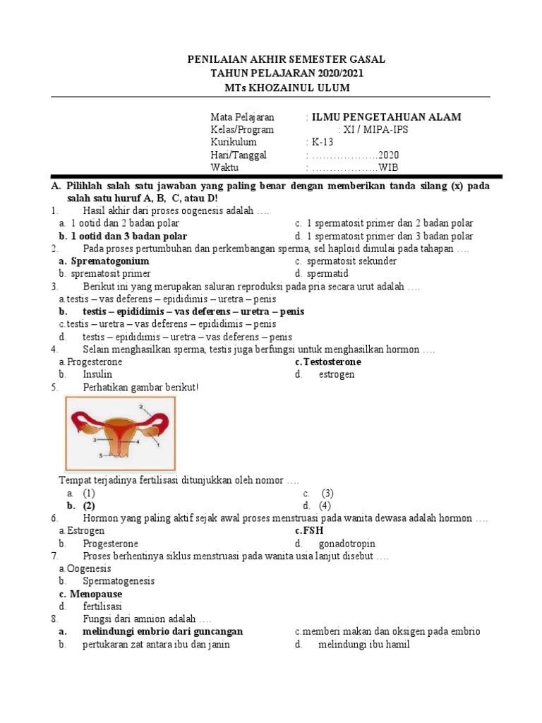Soal Ipa Kelas Ix | PDF