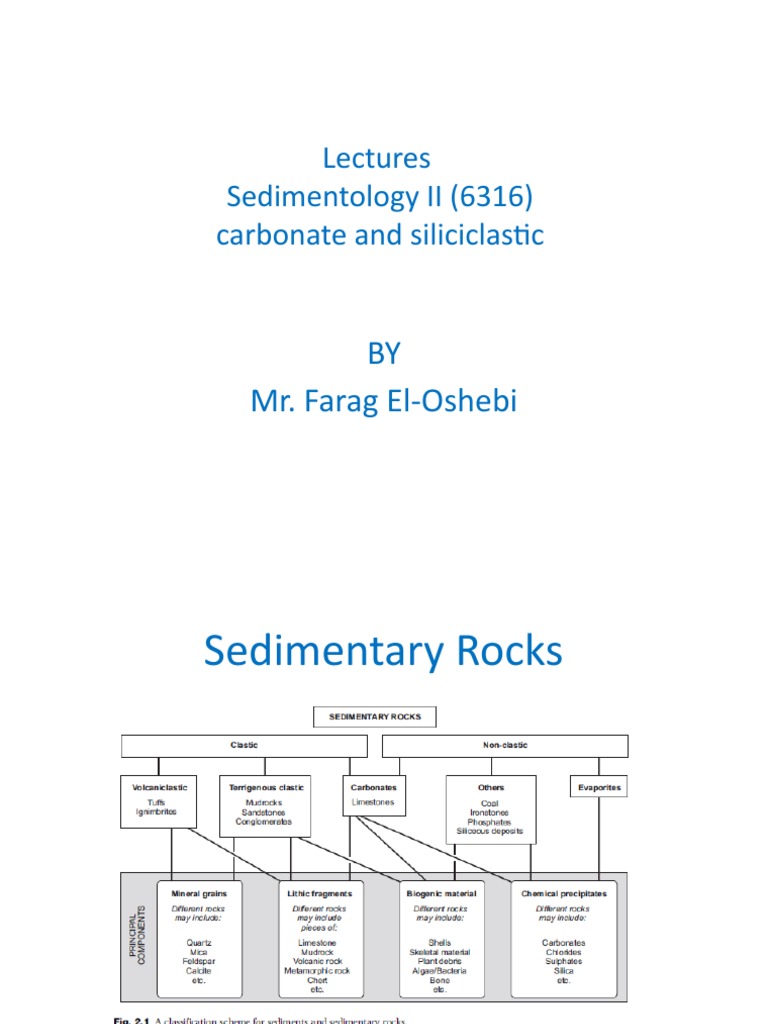 Petrology of Sedimentary Rocks | PDF