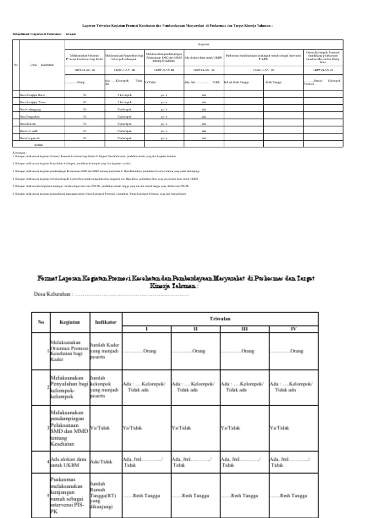 Format Laporan Triwulan Puskesmas-1 | PDF