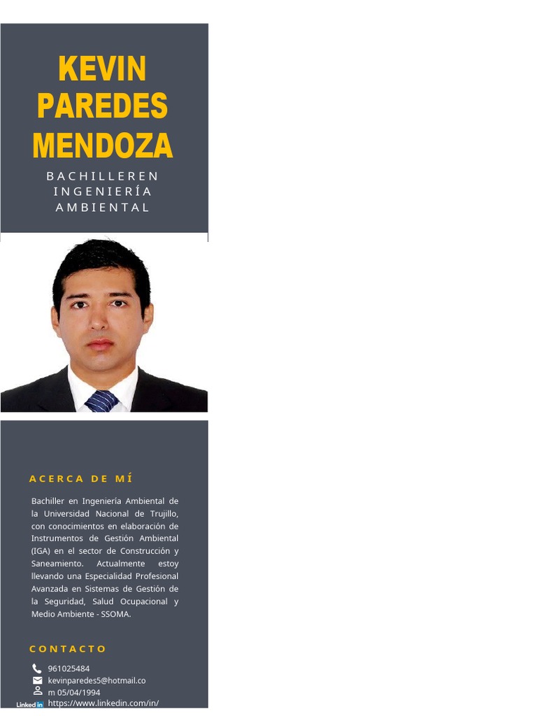 CV Kevin Final 2 | PDF | Evaluación de impacto ambiental | Economias
