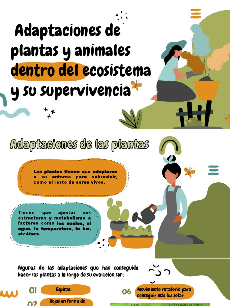 Adaptacion de Los Animales y Plantas | PDF | Mimetismo | Biología
