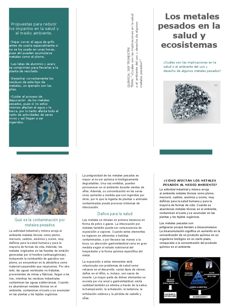 Impacto de Metales Pesados en Salud y Ambiente | PDF | Cadmio | Rieles