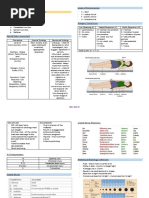 NIHSS Scoring: Coma Difficult or Confused Tips | PDF | Diseases And ...