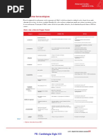 Escala AVDI | PDF | Relaciones personales, crianza y desarrollo personal