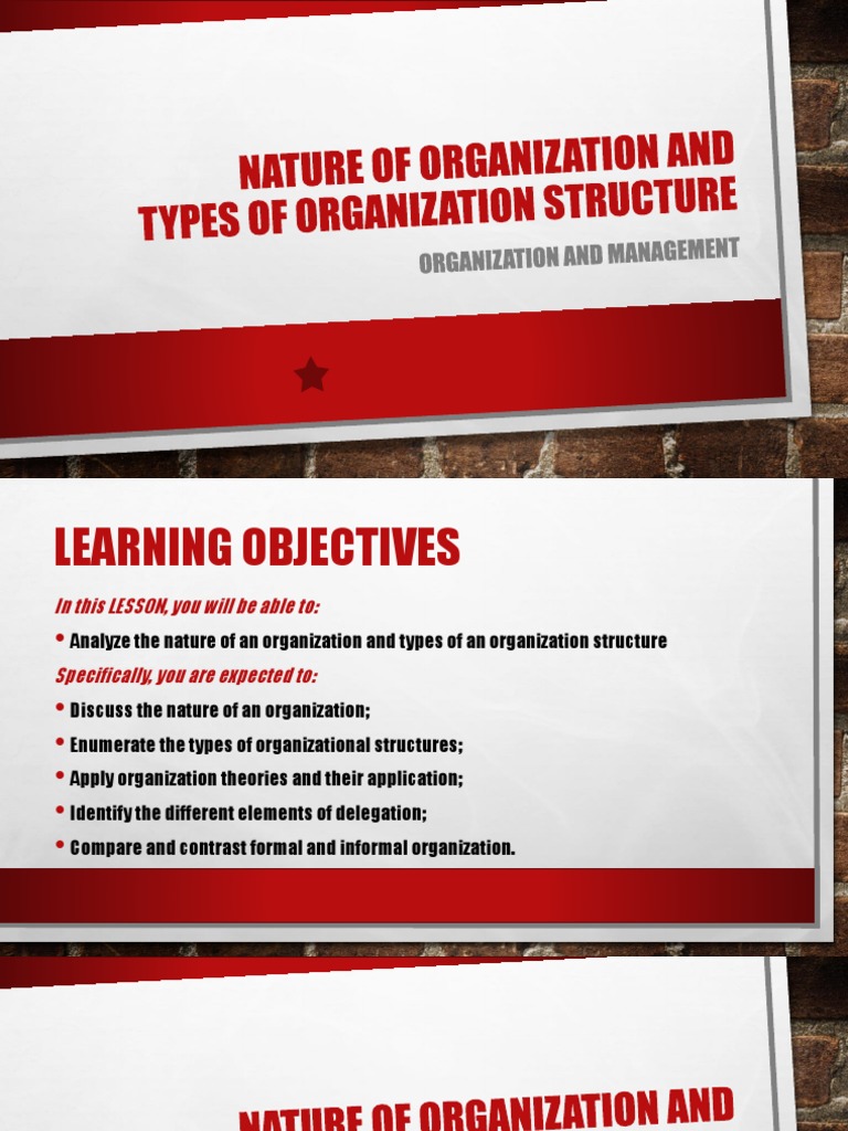 Q1W9 Nature Organization Types Organization Structure | PDF ...