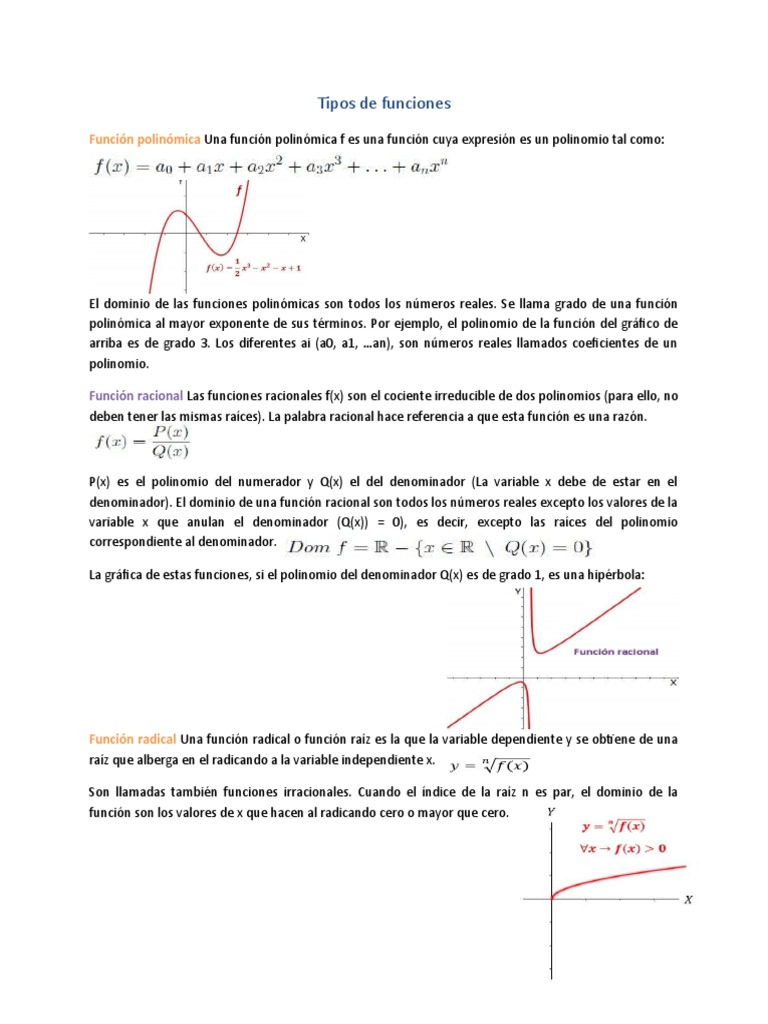 Tipos de Funciones | PDF | Función (Matemáticas) | División (Matemáticas)