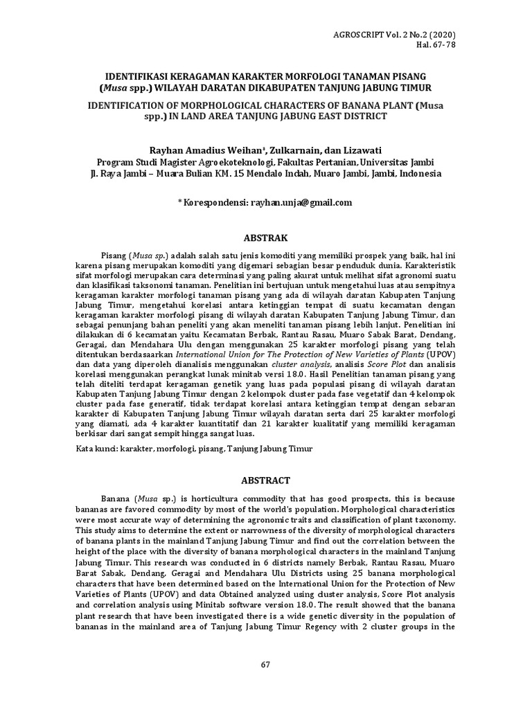 Keragaman Morfologi Pisang | PDF