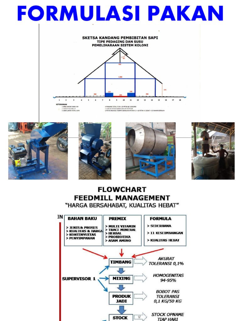 Formulasi Pakan Ternak Ruminansia | PDF