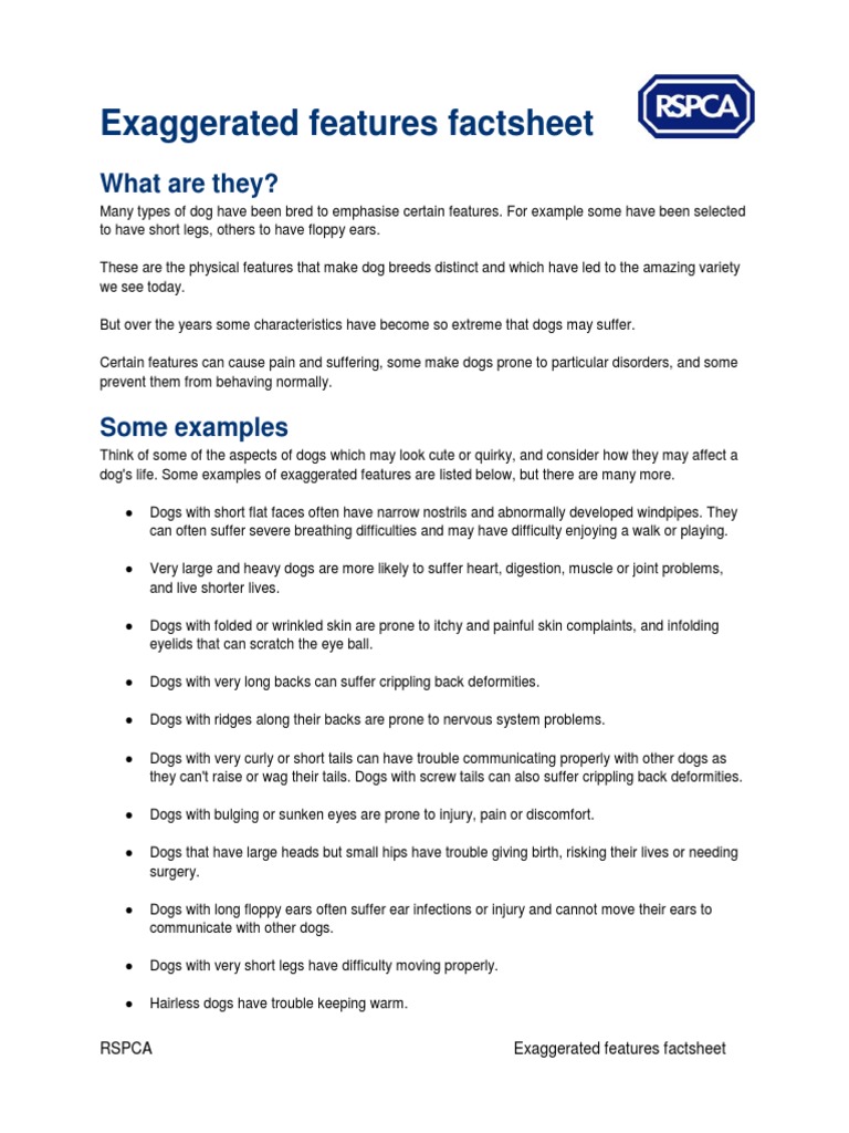 Exaggerated Features Factsheet | PDF | Dogs | Dog Breeds
