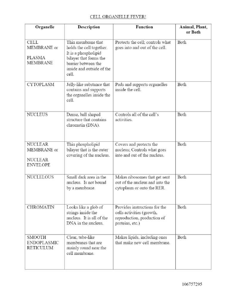 Cell Organelles Worksheet | PDF