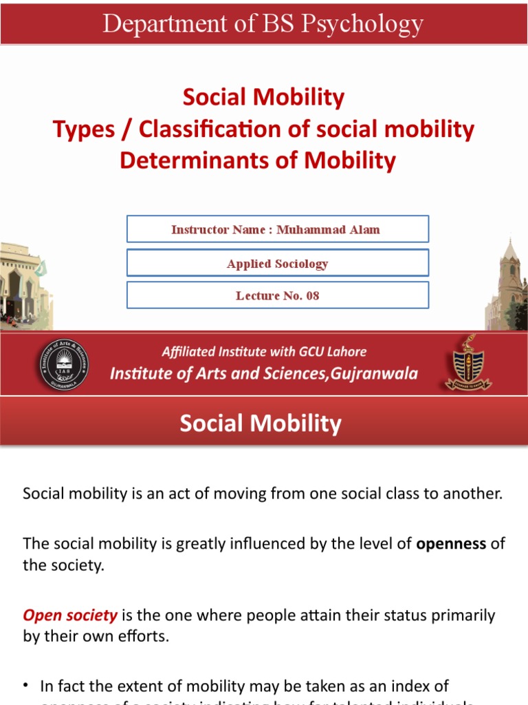 Social Mobility Types / Classification of Social Mobility Determinants ...