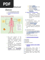 Printable Brain Hemisphere Hat Template | PDF | Cerebral Hemisphere ...