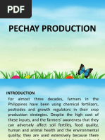Pechay Growth and Production Guide | PDF | Sowing | Seedling