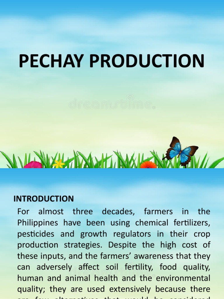 Pechay Production | PDF | Soil | Seed