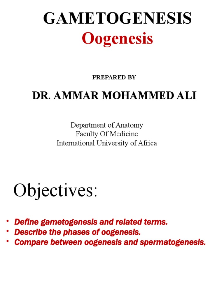 Oogenesis | PDF | Meiosis | Ploidy