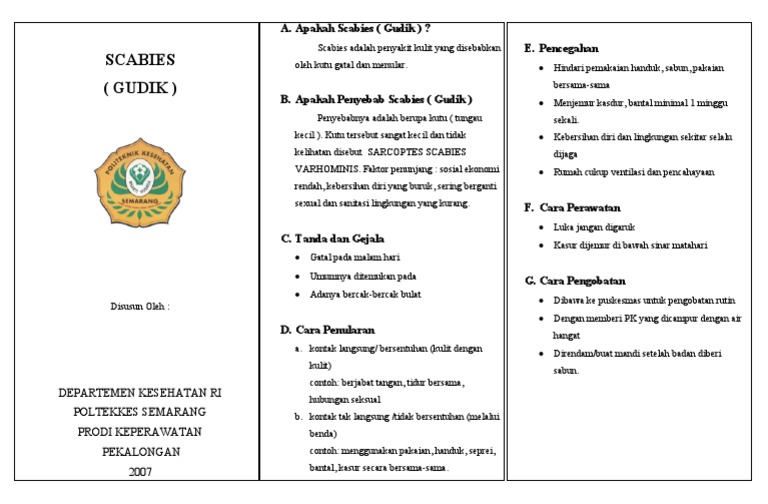 Leaflet Scabies Gudik | PDF