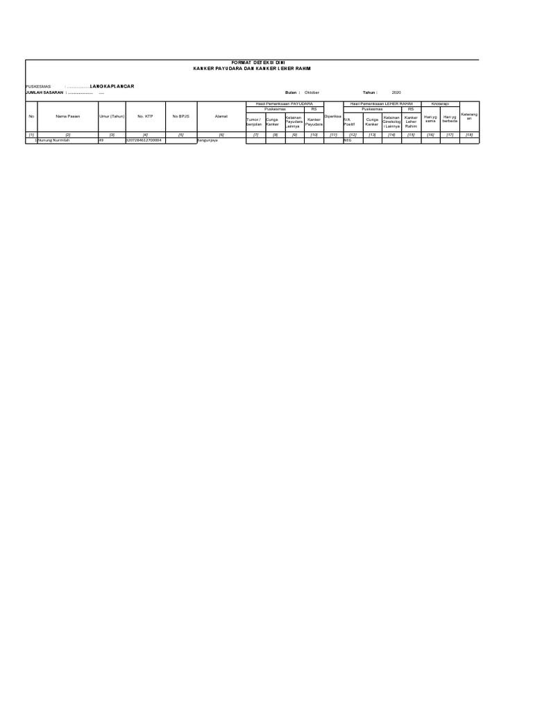 Form Laporan IVA & SADANIS Puskesmas-1 | PDF