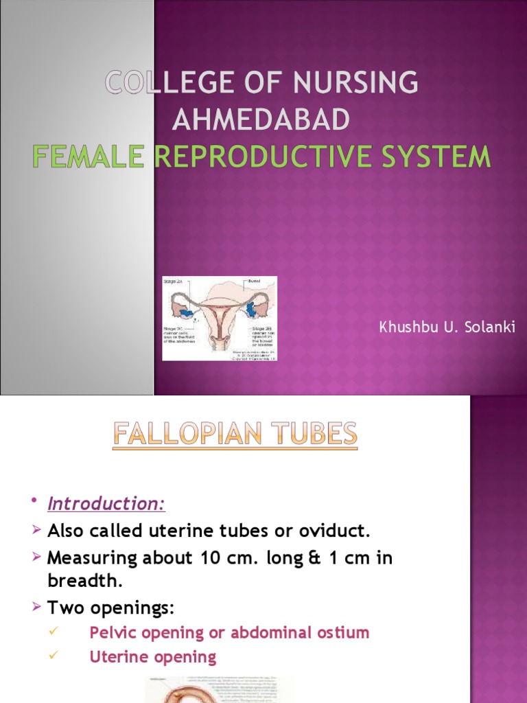 Fallopian Tubes | PDF | Ovary | Human Anatomy