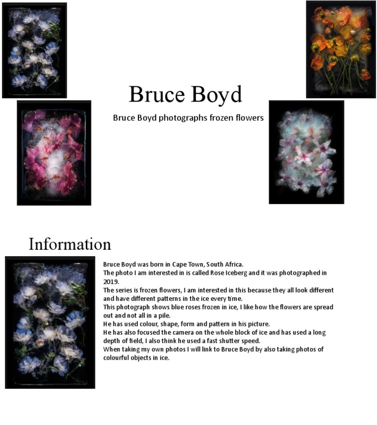 Bruce Boyd | PDF