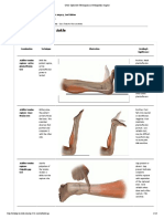 EMRA SportsMedicine Splint Guide | PDF | Thumb | Hand