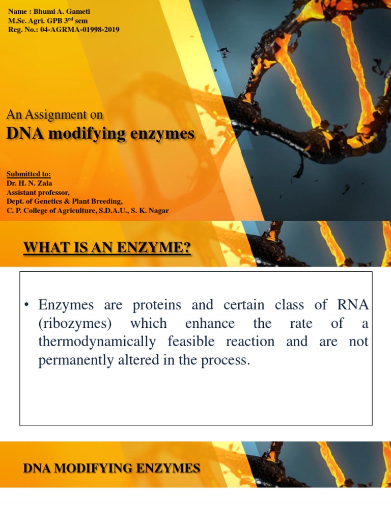 DNA Modifying Enzymes: An Assignment On | PDF | Restriction Enzyme | Dna