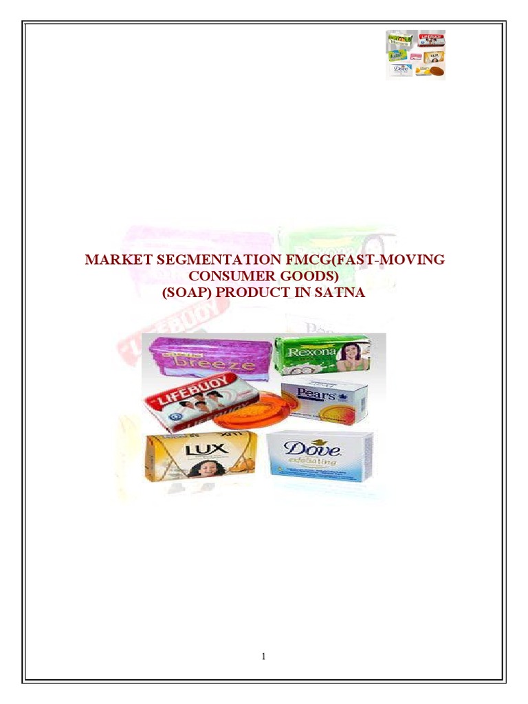 Market Segmentation FMCG | PDF | Market Segmentation | Marketing
