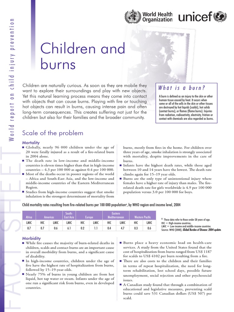 Burns English | PDF | Burn | Developing Country