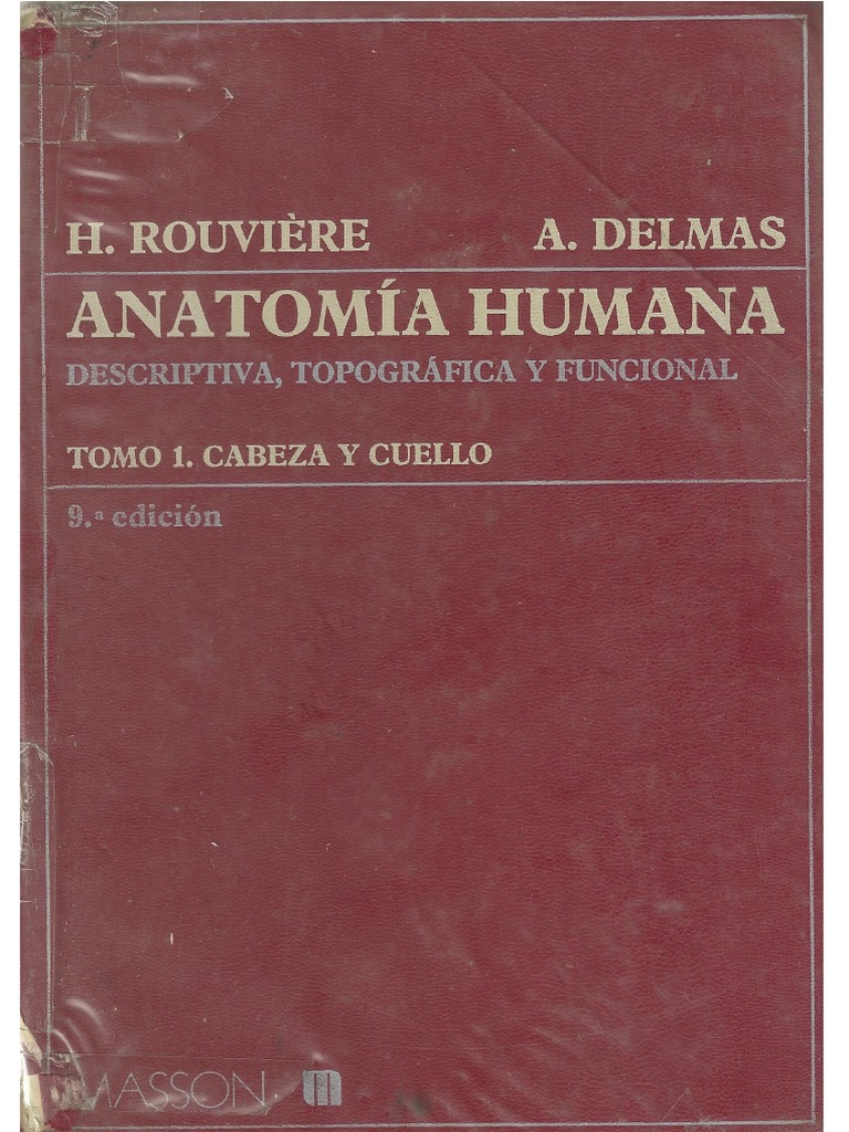 2 - Rouviere T1 Huesos Del Cráneo | PDF