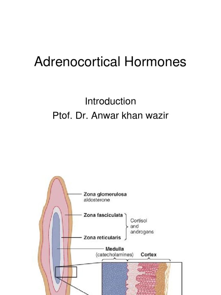 Introduction - Functions of Aldosterone and Glucocorticoids | PDF ...
