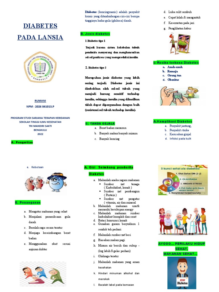 Leaflet Diabetes Pada Lansia-1 | PDF