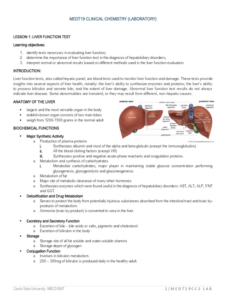 Liver Function Lecture Notes | PDF | Medical Specialties | Clinical ...