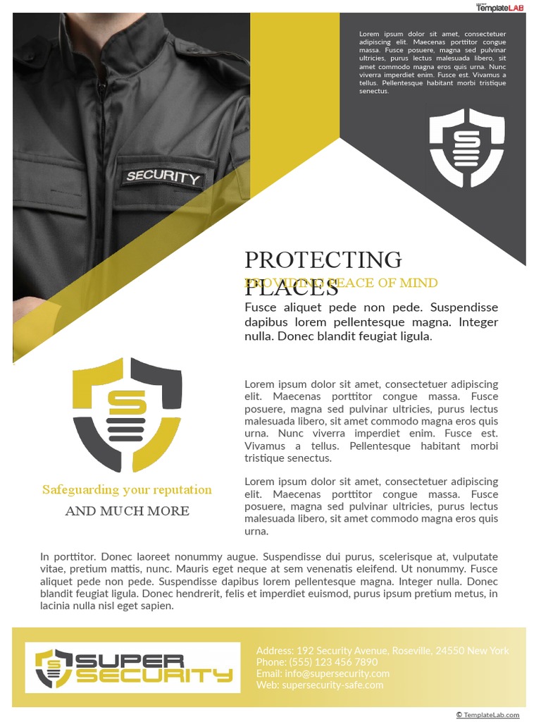 Security Company Profile Template | PDF