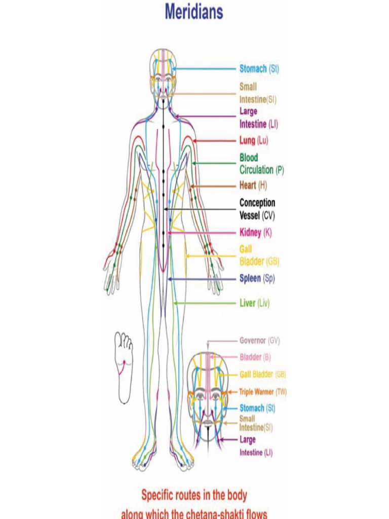 The 12 Meridians | PDF