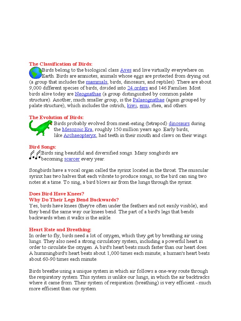 The Classification of Birds | PDF | Respiratory System | Birds