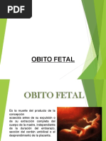 Tróclea - Qué Es, Significado, Ubicación, Función y Lesiones | PDF ...