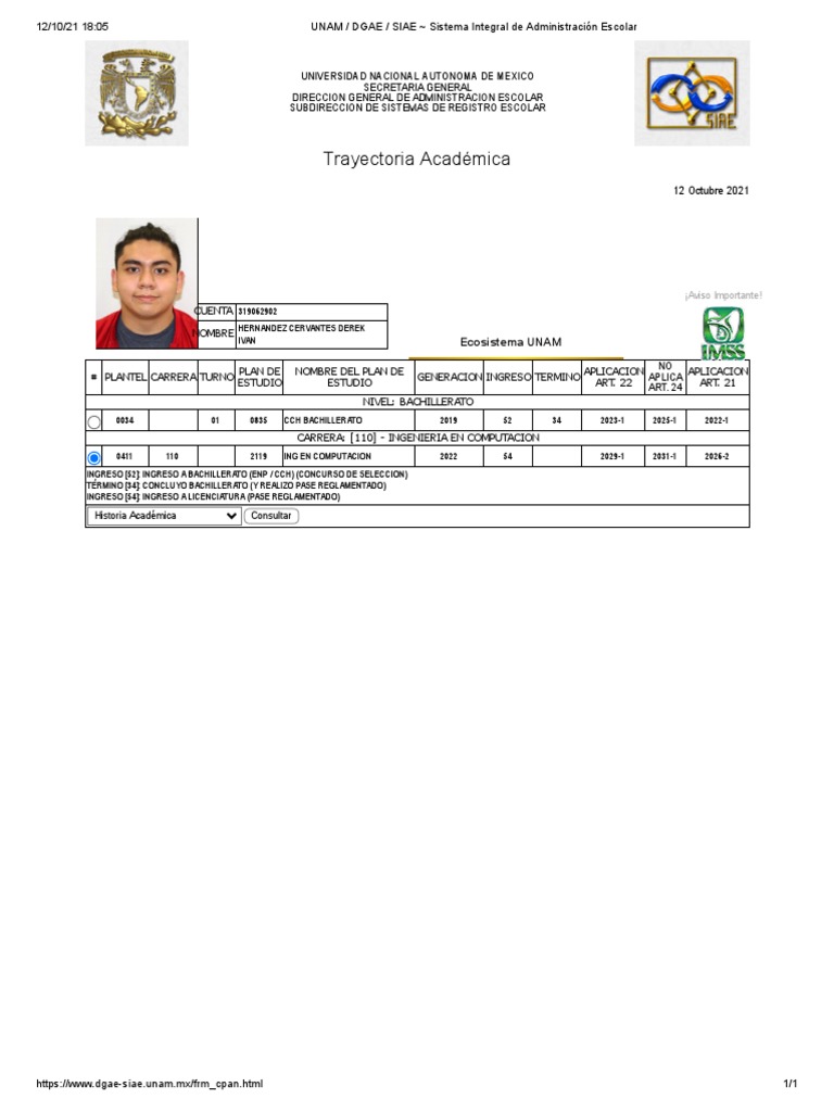 SIAE (Panel de Control) | PDF