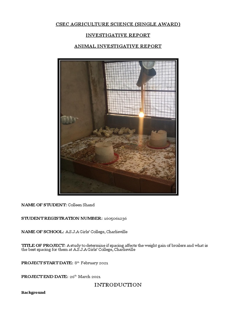 Broiler Production | PDF | Broiler | Poultry Farming