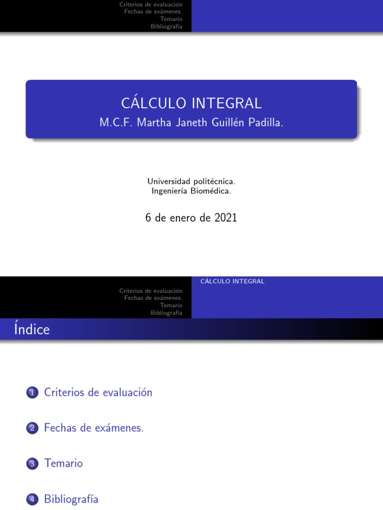 Criterios y Temario de Cálculo Integral | PDF | Cálculo | Integral