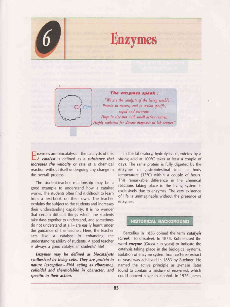 Enzyme Notes - Sathyanarayana | Download Free PDF | Active Site ...