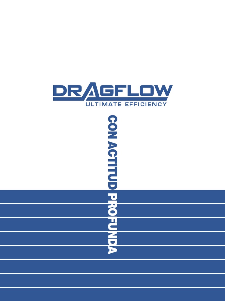 Bombas Dragflow para Servicio Pesado | PDF | Calidad (comercial) | Agua