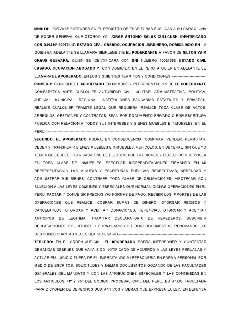 Consulado Carta Poder Modelo | PDF