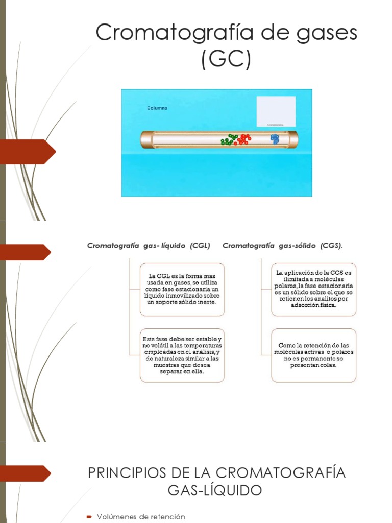Cromatografía de Gases (GC) | PDF